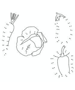 Dot to Dot Vegetables | Download Free Logical Games